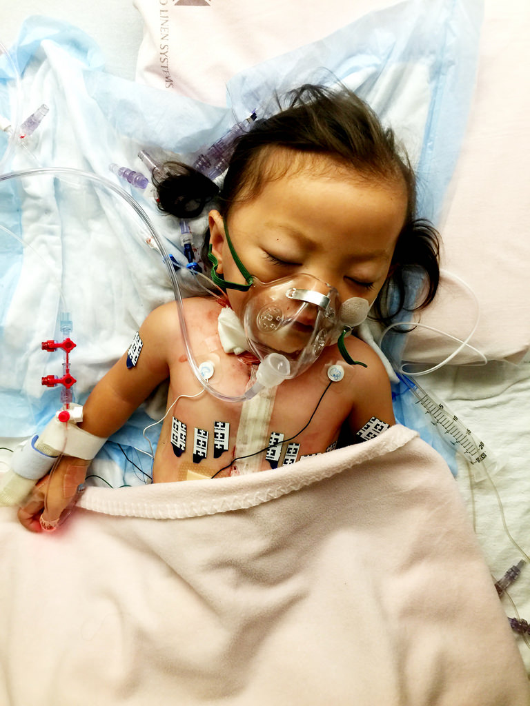 How to Help a Breaking Heart Because You Have One & So Does Everyone ...