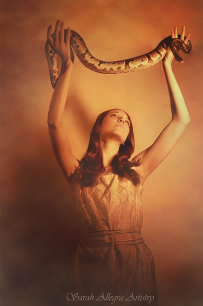 If it walks like a duck . . . | Boxx Banter